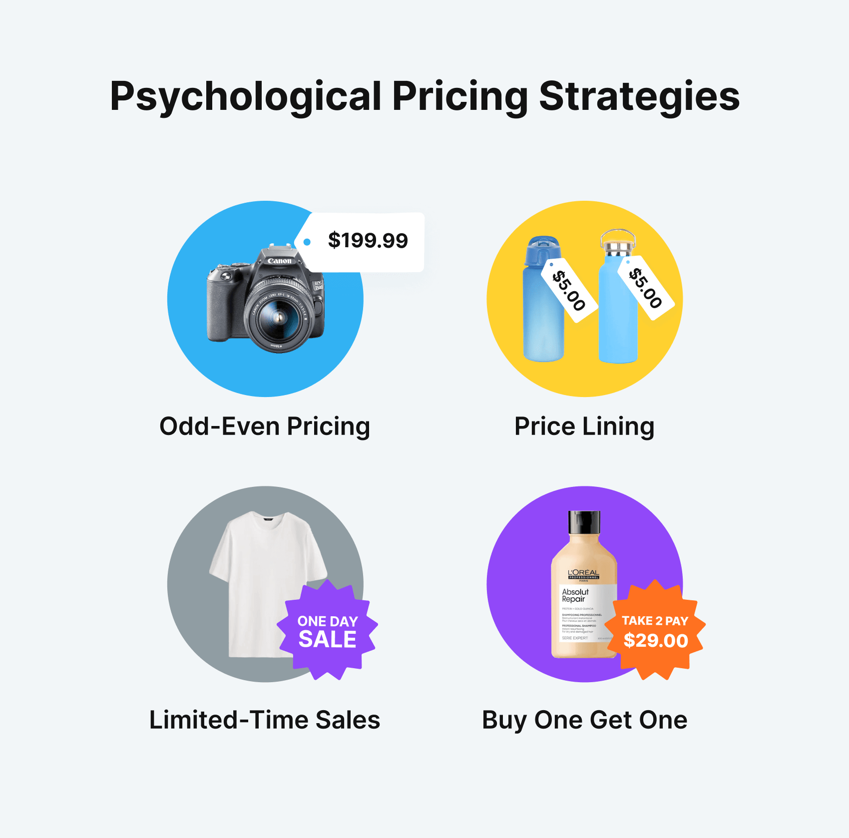Pricing Strategies Across the Product Life Cycle